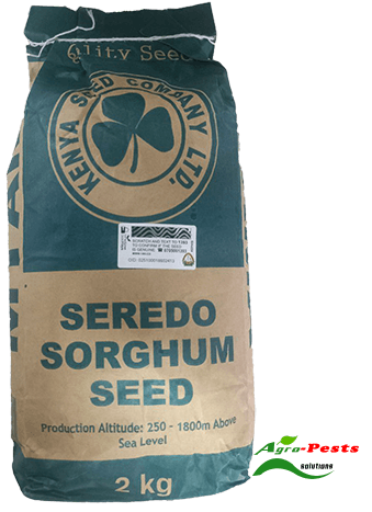 Seredo Sorghum Seed 2Kg - Agropests